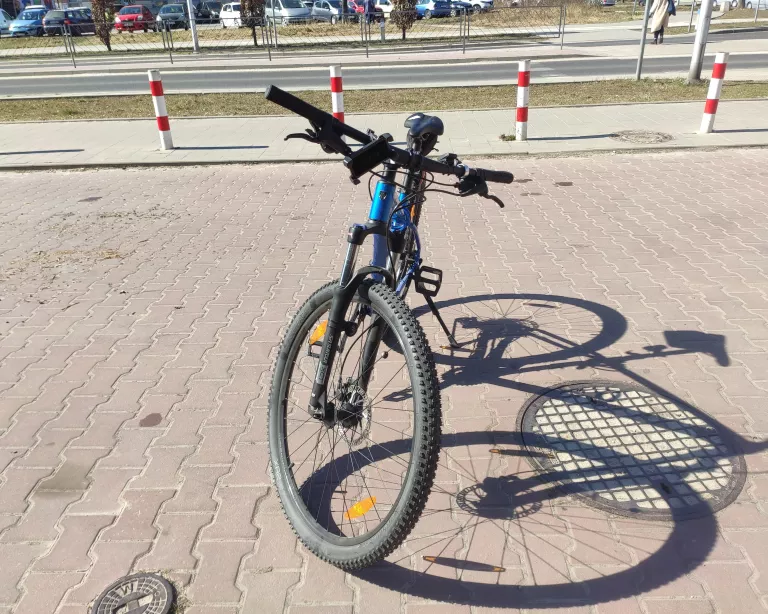 ROWER TREK MARLIN 6 ML 29 ALPINE BLUE 2020 | MTB (górskie) | Loombard.pl