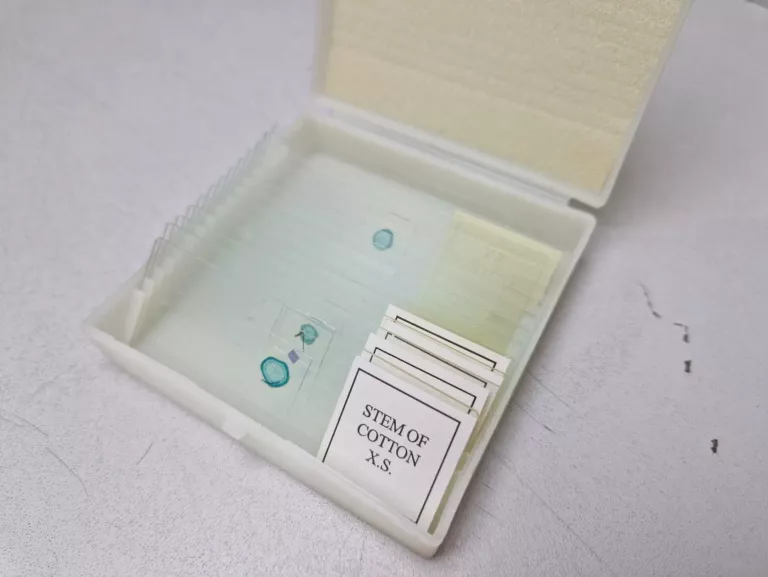 MIKROSKOP BRESSER BIOLUX AL | Mikroskopy | Loombard.pl